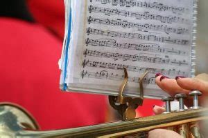 Image result for Longest Trumpet Note