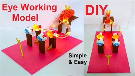 Image result for Class 11 Latest Science Models Making