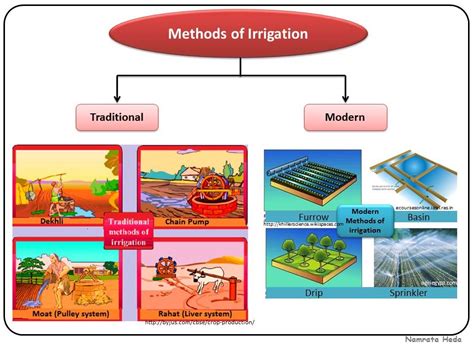 Image result for Traditional Methods of Irrigation Class 8