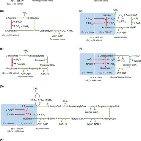 Image result for Substrate Reactions