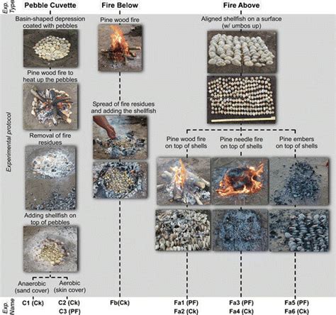 Image result for Cooking Exsperiment