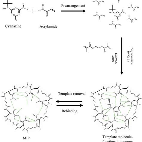 Image result for MIP Training