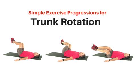 Image result for Trunk Bender Exercise