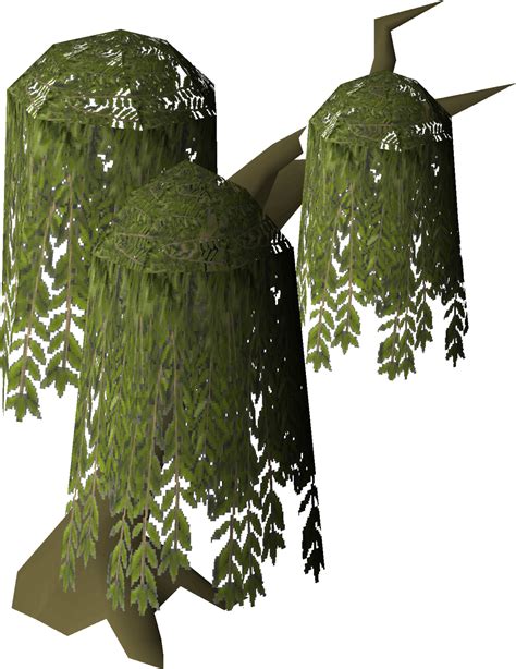 Image result for Willow Tree Rust