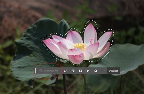 Image result for Adobe Generative Fill