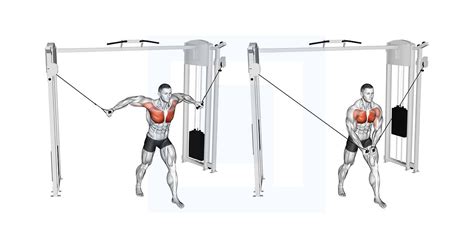 Image result for Cable Fly Exercise
