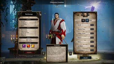 Image result for Divinity Original Sin Character Design