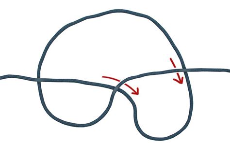 Image result for Dropper Loop Knot