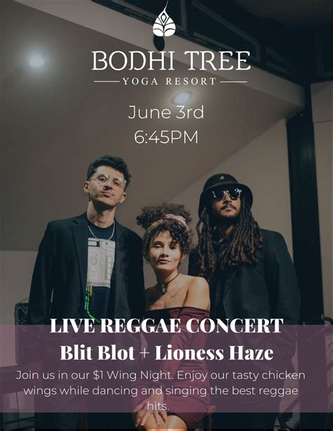 Live Reggae Concert | Nosara.com