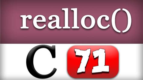 Image result for Realloc in C++ Example