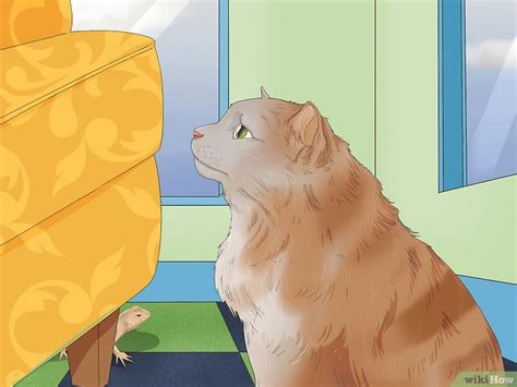 Image result for How to Catch a Lizard