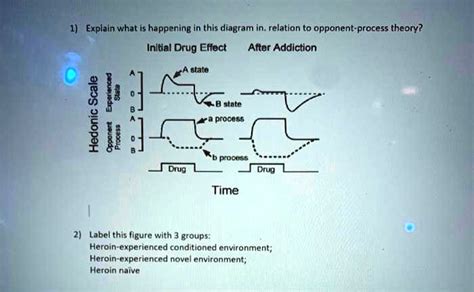 Image result for Opponent Process Theory Drug Addiction Example