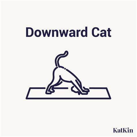 Image result for Back Cat Yoga