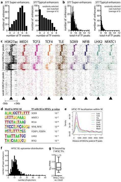 Image result for Super-Enhancer