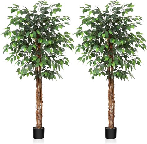 Image result for Fake Ficus Tree