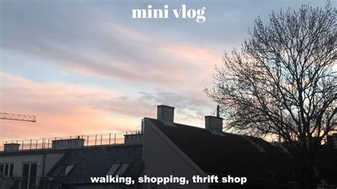 Image result for Vlog Store