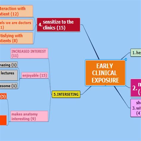 Image result for Thematic Tree Example