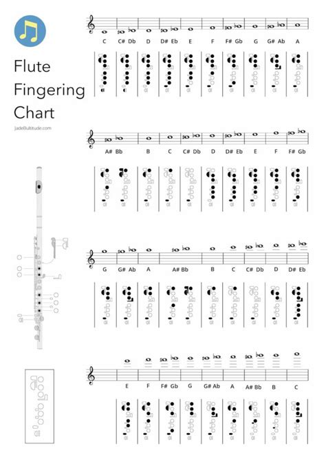 Image result for Flute Notes for Beginners