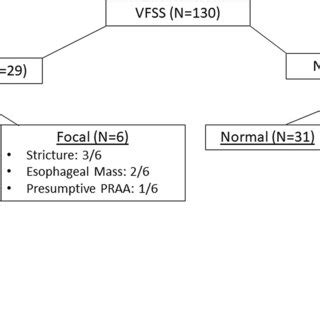 Image result for VFSS Procedure