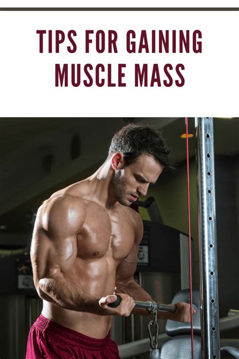 Image result for Adding Muscle Mass