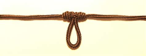 Image result for Dropper Loop Knot Instructions