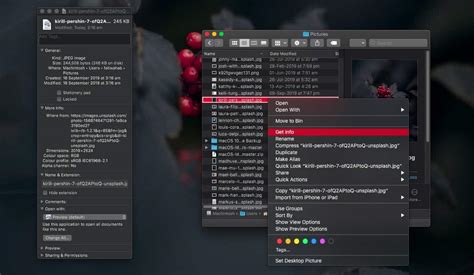 Image result for Download File Link