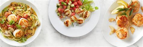 Image result for How to Cook Scallops at Home