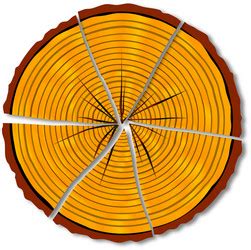 Image result for How to Split a Log