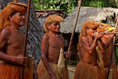 Image result for Amazon Forest Humans