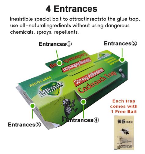 Image result for Lizard Traps