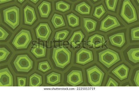 20,836 Turtle Shell Patterns Images, Stock Photos, 3D objects ...