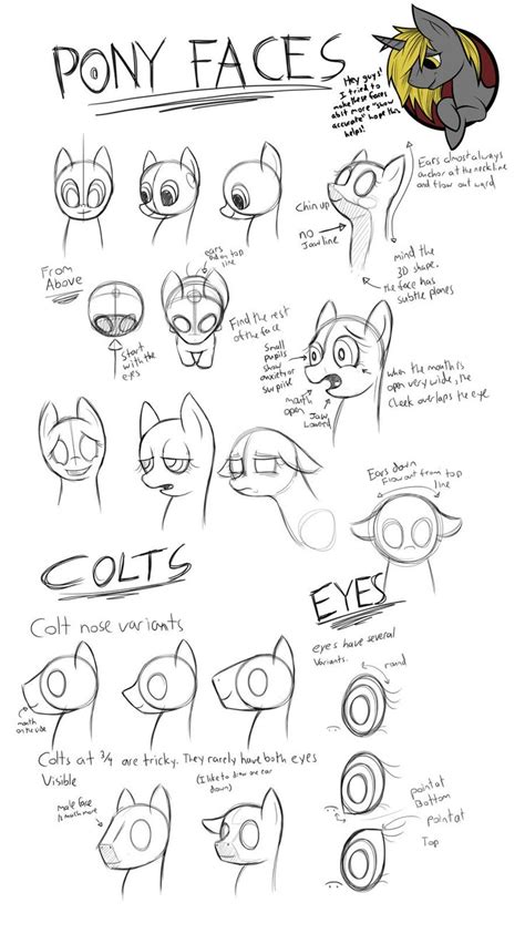 Image result for MLP Pony Head Tutorial