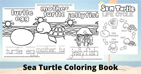 Image result for Turtle Life Cycle Coloring Sheets