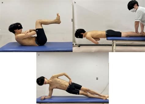 Image result for Trunk Extension Exercises