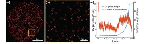 Image result for Nuclear Pore Complex Super Resolution