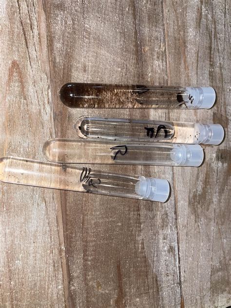 Image result for Wime Making Filter