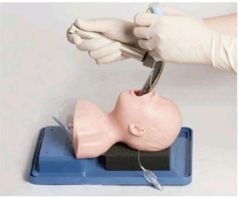Image result for Intubation Training