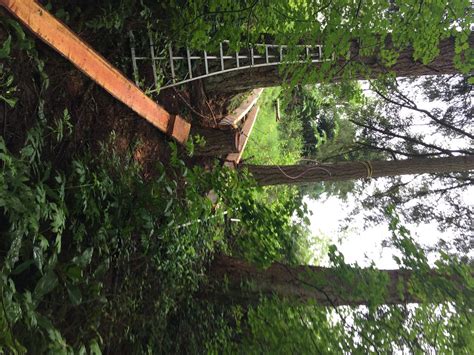 Image result for Step by Step How to Build a Treehouse