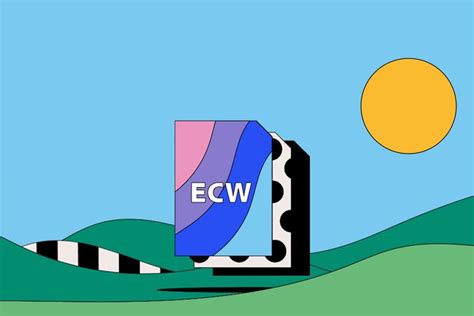 Image result for How to Use ECW