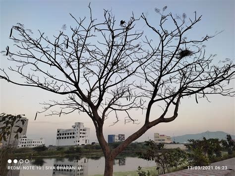 Image result for Redmi Note 10 Camera