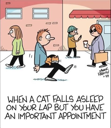 Image result for Balance CBeebies Short