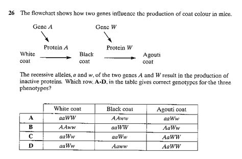 Image result for Genetics Multiple Choice Questions