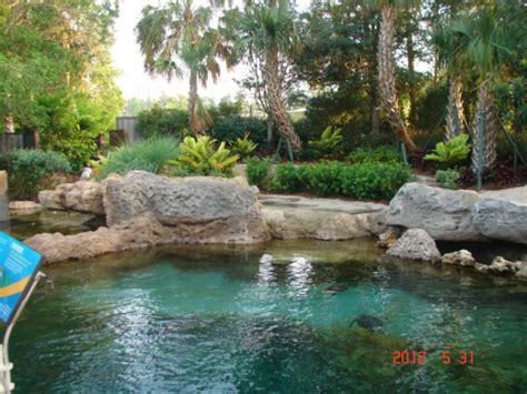 Image result for Turtle Trek