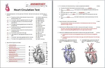 Image result for Circulation Test Procedure