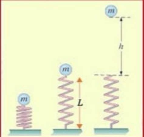 Image result for Vertical Spring Physics