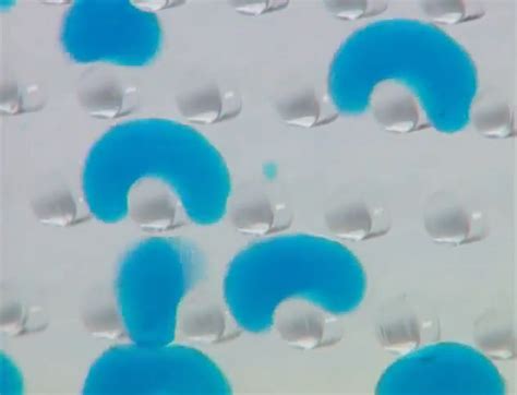 Image result for Color Maze Liquid Timer