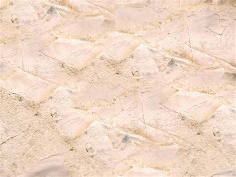 Image result for Pyramid Texture