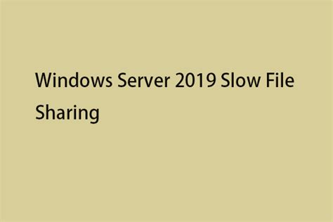 Image result for File Server Win 19