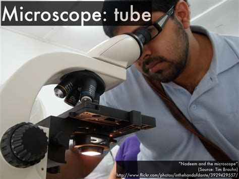 Image result for Optical Devices