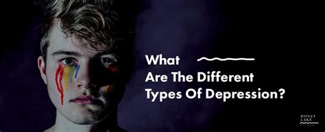 Image result for Types of Depression